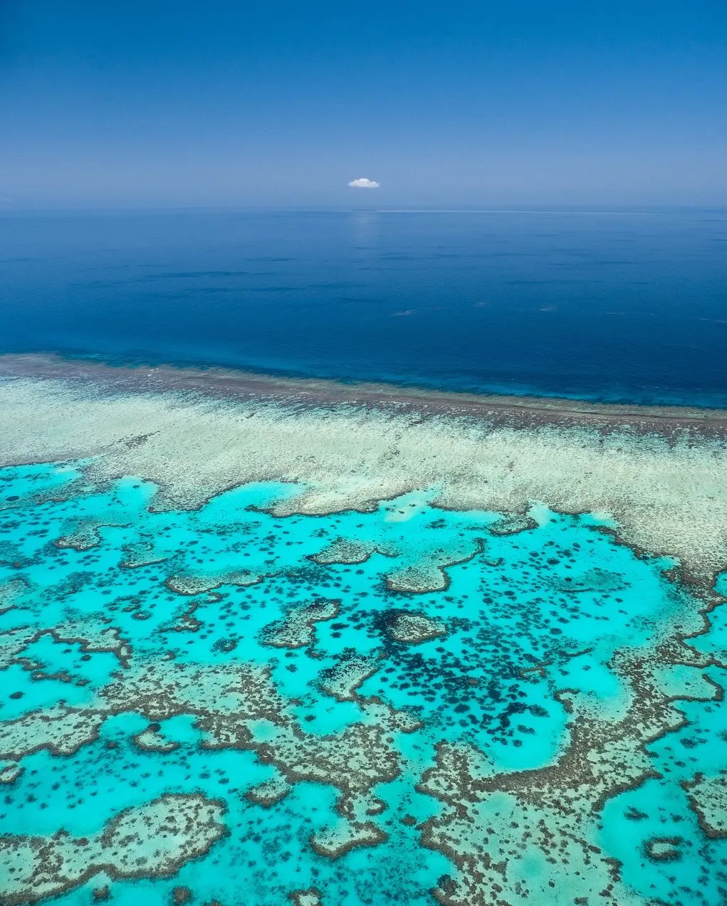 Which Reef Has The Clearest Water In Queensland?